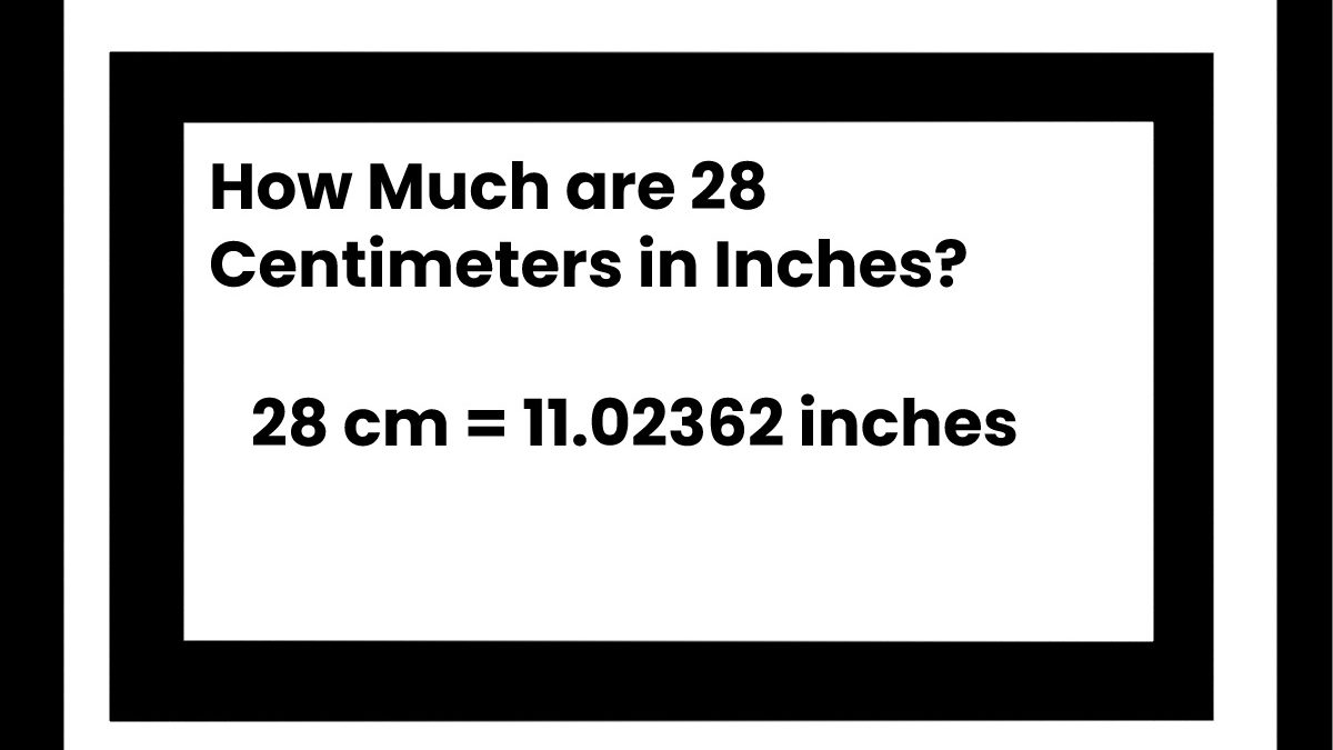 28 Centimeters Is How Many Inches 